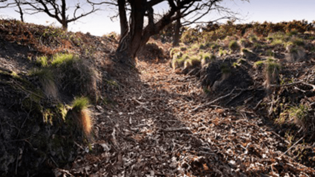 Browndown Trenches | Discover Gosport